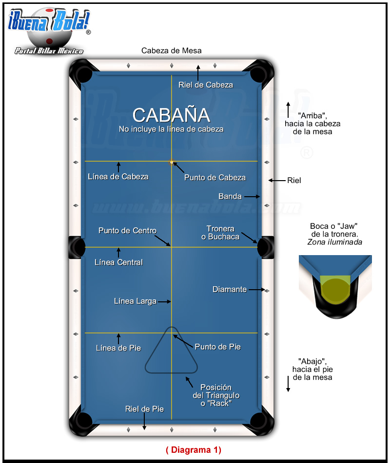 Entendiendo y Estudiando las Reglas • ¡Buena Bola!